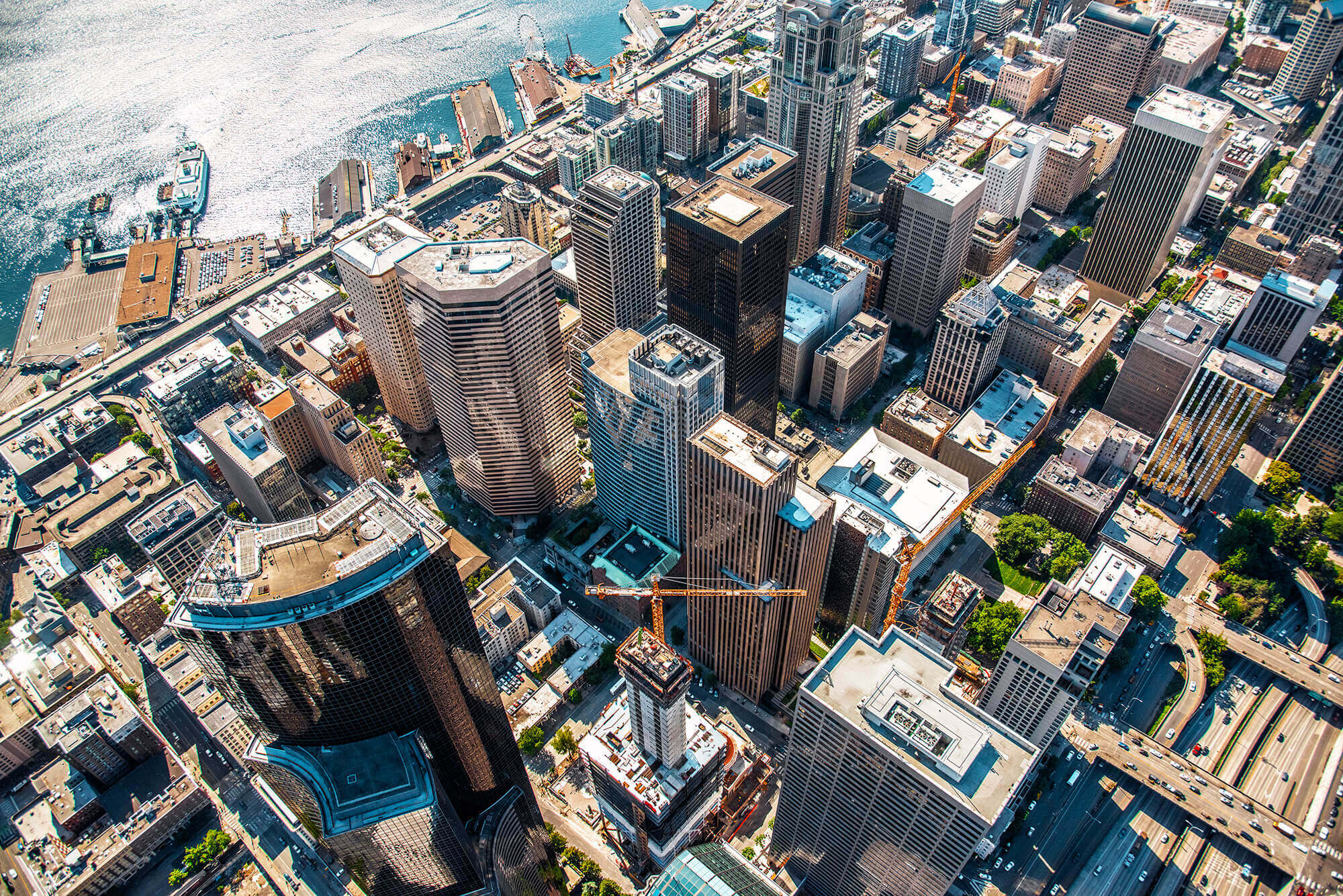 Testimonials | HCMP Law Offices | Seattle Law Firm